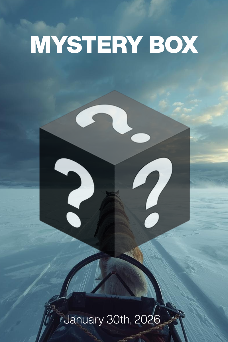 MYSTERY BOX Jan 30th, 2026: Tundra Tailoring at $79/$99 + Designer Sho